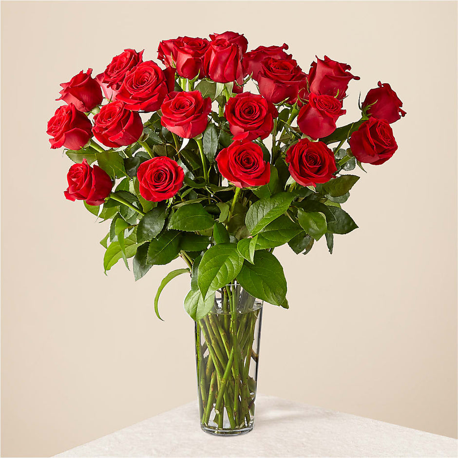 Indianapolis Florist with Same-Day Delivery | Andrews Florist–Andrews ...